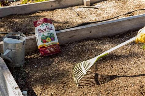 How To Add Nitrogen To Soil Complete Guide For Gardeners