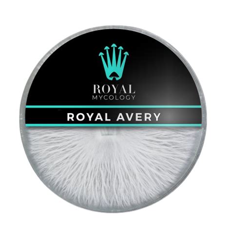Royal Avery Agar Plate Royal Mycology