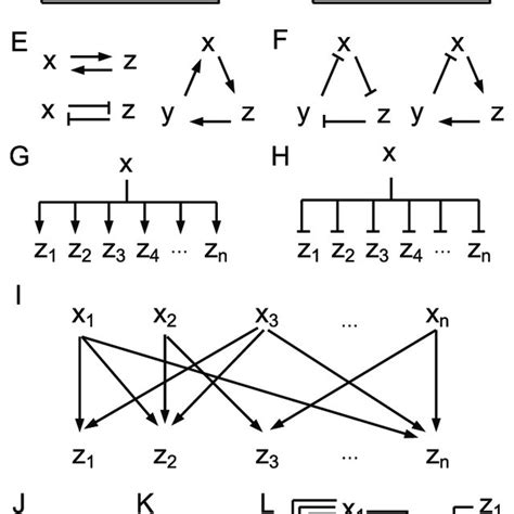 Transcriptional Regulatory Network Motifs A Simple Regulation B