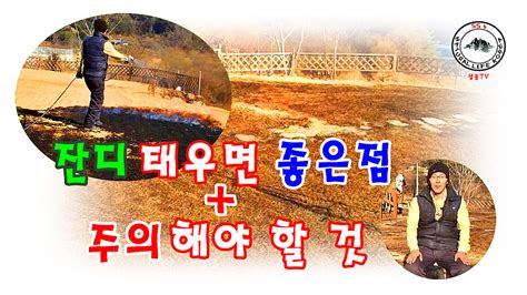 잔디관리요령 잔디태우면 좋은점과 주의사항 네이버 Tv