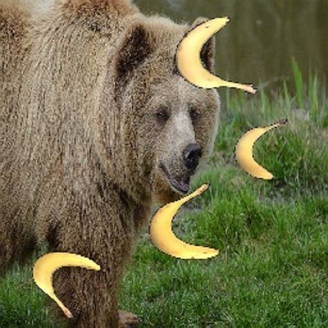 Banana Detection Kaggle