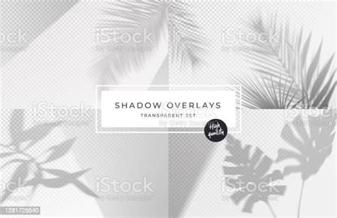 그림자 배경 오버레이 집합입니다 사실적인 그림자가 장면을 조롱합니다 열대 잎의 투명한 그림자 벡터 일러스트레이션 그림자에 대한 스톡 벡터 아트 및 기타 이미지 Istock