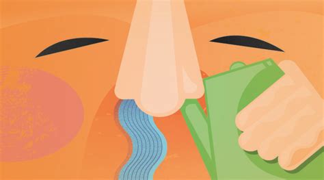 Neti Pot Vs Squeeze Bottle Bottles Insider