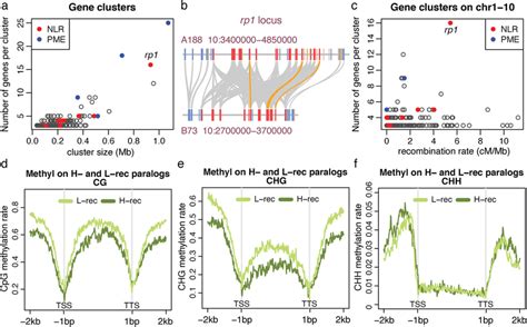 Gene Clusters And Paralogs In Low And High Recombination Regions A Download Scientific