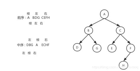 完全二叉树总结点叶子结点计算公式题型总结 技术岗笔试（持续更新）土耳其的曼谷风的博客 Csdn博客完全二叉树的叶子节点数公式