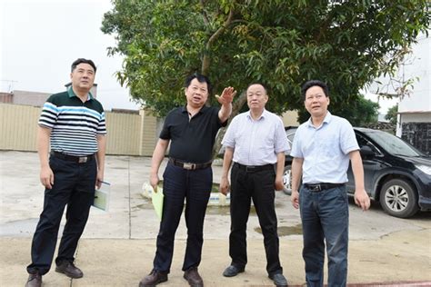 普宁市李悦双简介 悦双 普宁市副 第3页 大山谷图库