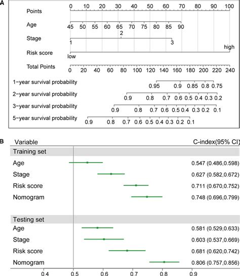 Nomogram Model Construction With Rs Age And Stage A Nomogram Model