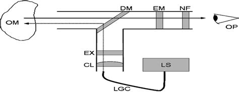 Autofluorescence And Early Detection Of Mucosal Lesions In P Journal Of Craniofacial Surgery