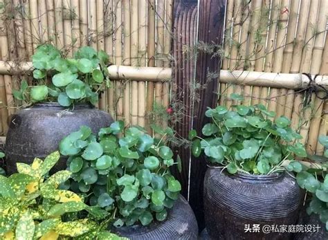 私家庭院設計如何建造你的私人花園庭院必知的設計施工要點 每日頭條