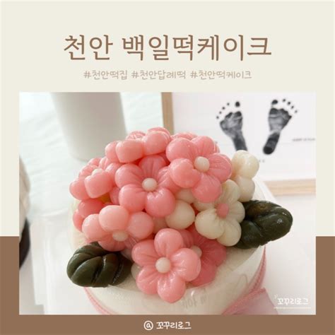 천안 떡집 백일떡 떡케이크 맛집 동그라미 답례떡도 예뻐 네이버 블로그