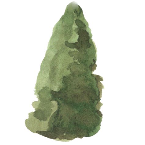 Trees Change Color In Autumn Season 28714101 PNG Trees Change Color In Autumn Season 28714101 PNG