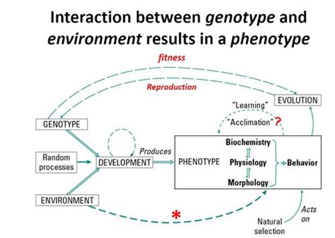 Week 1 Lecture 3 Flashcards Quizlet