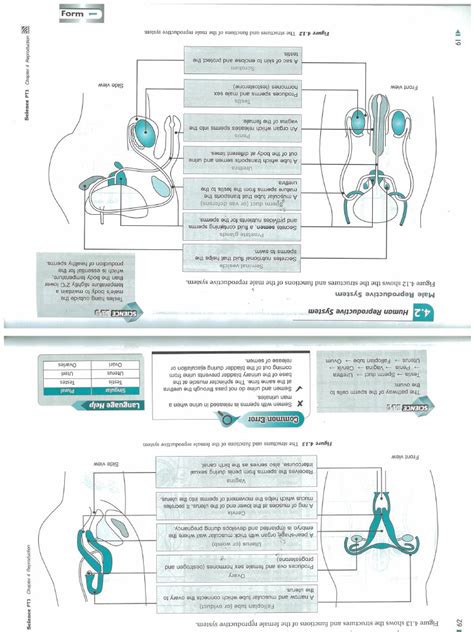 form 1 science chapter 4 reproduction note part 2 pdf