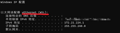 Wsl2 Docker Gui 界面ros Wsl Docker Csdn博客