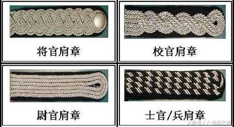 盤點二戰時期德國黨衛軍軍銜和相應職務 德意志人的嚴謹值得學習 每日頭條