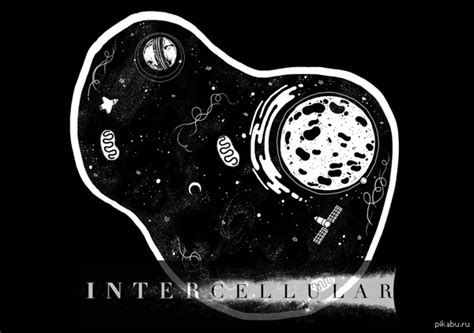 Intercellular Пикабу