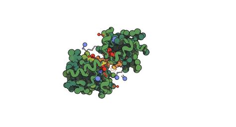 Reverse Transcriptase Market Size Share Growth And Forecast By 2032