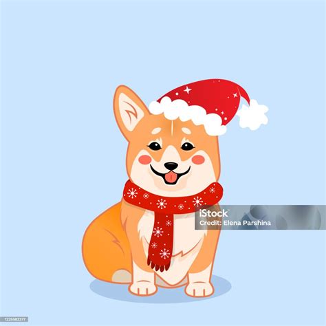 산타 모자와 스카프 벡터 만화 일러스트와 귀여운 앉아 미소 크리스마스 코기 개 카와이 코기 강아지 프린트 파란색 배경에
