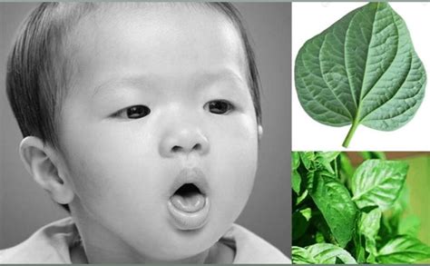 ချောင်းဆိုးတတ်တဲ့ သားသားမီးမီးတို့အတွက် ဆေးကောင်းတစ်လက်