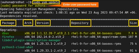 How To Update All Packages In RHEL Using YUM Cases LinuxSimply