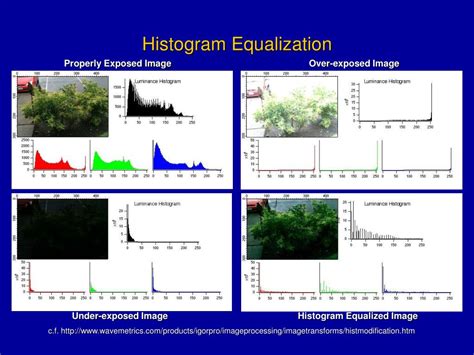 Ppt Digital Radiography Chapter 11 Adjuncts To Radiology Chapter