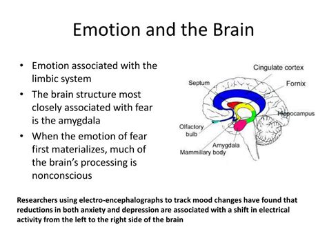 Ppt Managing Emotions Powerpoint Presentation Free Download Id 2035658