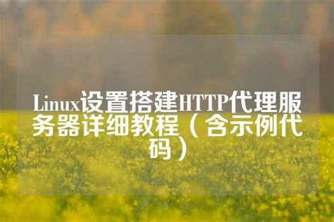 Linux设置搭建代理服务器详细教程（含示例代码）ip代理网