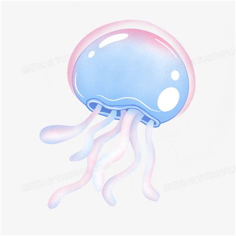 手绘水母海洋生物PNG图片素材下载 水母PNG 熊猫办公