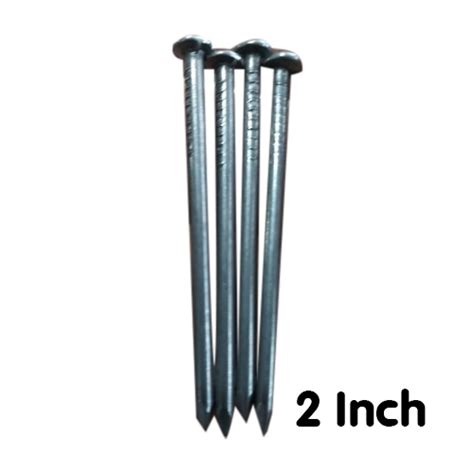 2 Inch Ms Wire Nails 10 Gauge Size 2 Inch At ₹ 1620bag In Rajauli