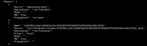linux docker container data volume mapping failed stack overflow