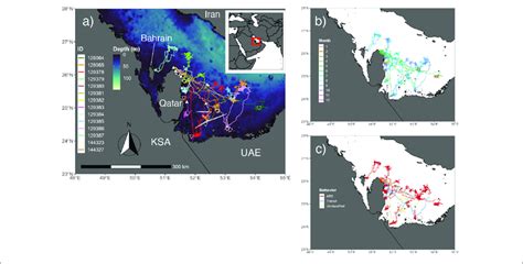 Output From The Behavior Switching State Space Models Sssms For