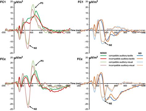 The Impact Of Stimulus Modality On The Processing Of Conflicting Sensory Information During