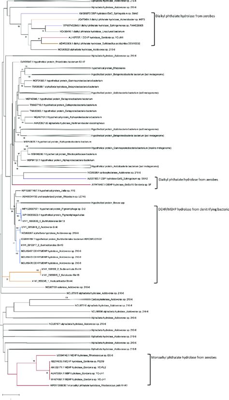 Maximum Likelihood Tree Of Hydrolases Involved In Degradation Of Alkyl