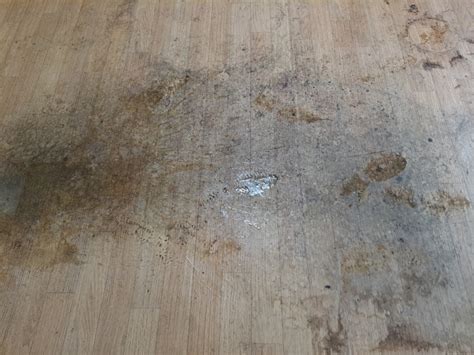 진짜 더러운 집 청소 시공갤러리 더홈케어 구미김천왜관지사