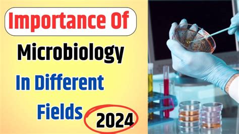 Importance Of Microbiology In Different Fields