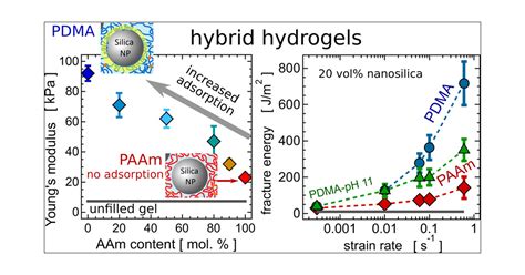 Role Of Polymer Particle Adhesion In The Reinforcement Of Hybrid Hydrogels Macromolecules