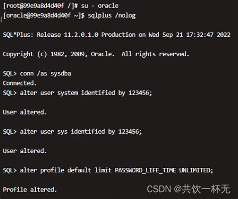 docker安装Oracle数据库 腾讯云开发者社区 腾讯云