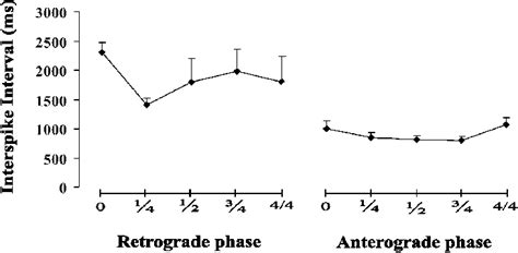 Interspike Interval As A Function Of Time In Adult M Sexta The