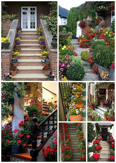 Пин от пользователя Katherina Ovchar на доске Идеи посадки растений Цветы в горшках Идеи