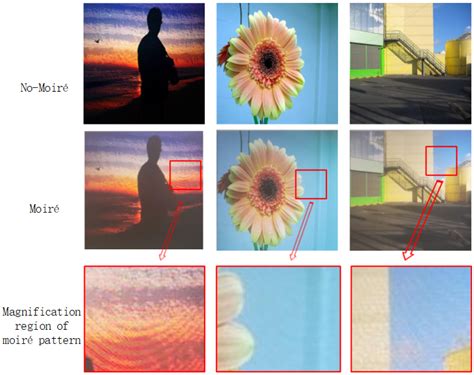 Ssden Framework For Screen Shooting Resilient Watermarking Via Deep