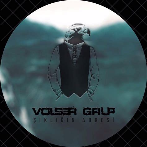 Volser Group