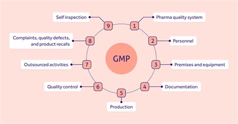 Good Manufacturing Practices Gmp Explained