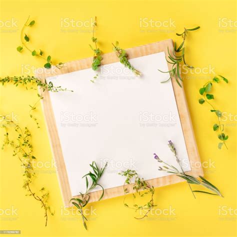 프랑스 음식 디자인 템플릿입니다 텍스트 정사각형 오버 헤드 샷에 대한 장소와 노란색 배경에 프로방스의 허브와 클립 보드 노랑에 대한 스톡 사진 및 기타 이미지 Istock