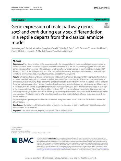 Pdf Gene Expression Of Male Pathway Genes Sox9 And Amh During Early