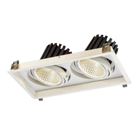 Two Heads LED Recessed Downlight 2 30w LIG YACG XIN WEI ENERGY SAVING CARBON REDUCTION
