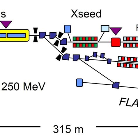 Layout Of Flash Facility Download Scientific Diagram
