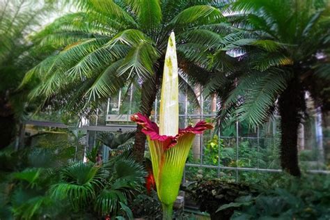 مجله آزمایشگاه کلینیکال آزمایشگاه کلینیکال