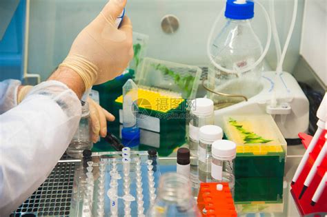现代研究实验室的内部在科学实高清图片下载 正版图片503698469 摄图网