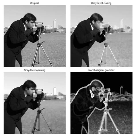 Rank Filters — Skimage V0 20 0 Docs