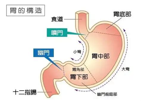 食为天胃为先胃就是这样被弄坏的 知乎